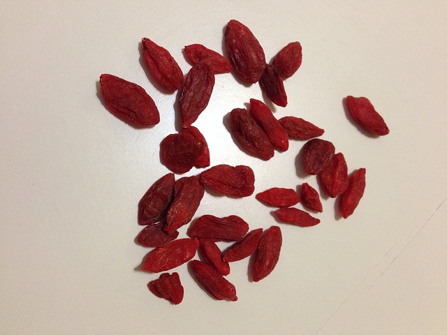 The Gogi Berry - Nutrition Wellness Tips